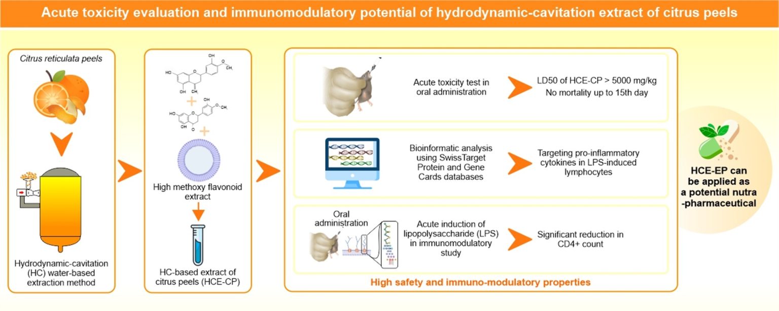 Acute Toxicity Evaluation And Immunomodulatory Potential Of Hydrodynamic Cavitation Extract Of